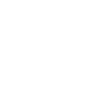 Stark VARG 80HP - Australian Electric Motor Co